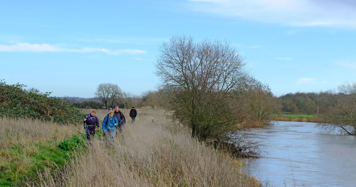 Pershore Bridges and Tyddesley Woods Circular Walk - Ramblers